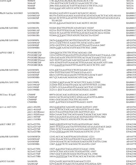 Primers And Probes Used In This Study Target Oligonucleotide A Sequence