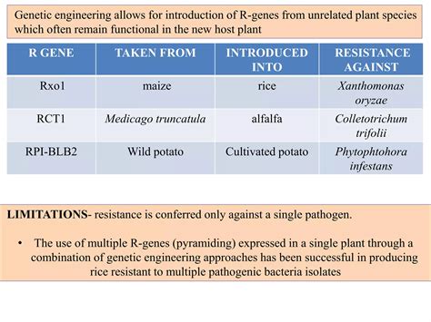 Gentic Engineering For Disease Resistance In Crops Pptx