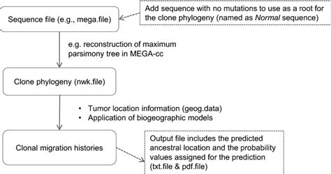 data analysis pipeline using biogeobears in r¹⁴ to infer clonal