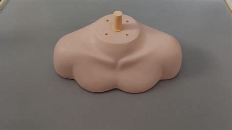 Mannequin Shoulder Model Washable Reusable Pvc Head Stand Bust Etsy