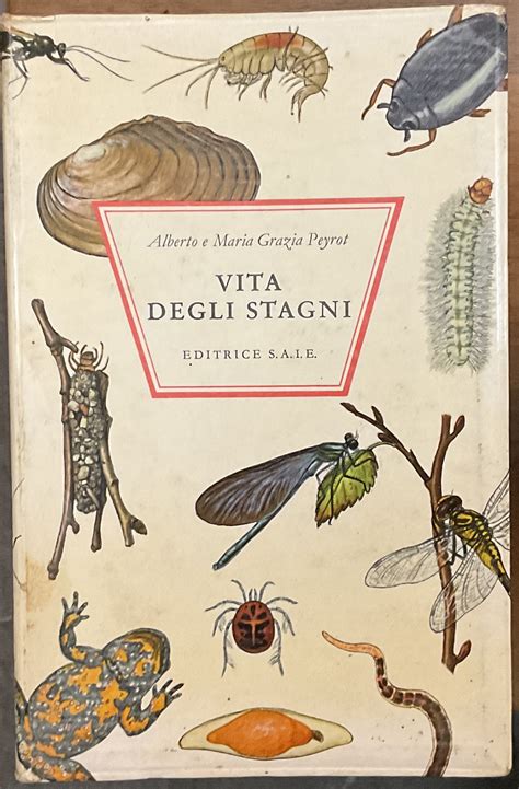 Vita Degli Stagni Il Morto Da Feltre