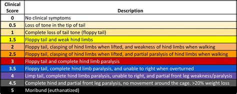 What Is Eae Experimental Autoimmune Encephalomyelitis