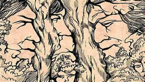 Optical Illusion Iq Test Can You Find Hidden Faces Between Trees And