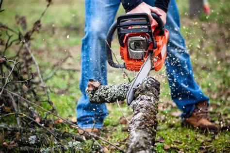 Tree Trimmer Insurance Cost USA Insurance Services