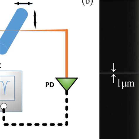 A Schematic Illustration Of Experimental Setup Fpc Fiber