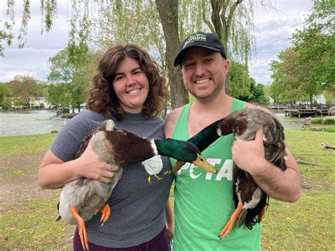 Duck Defenders Catch Invasive Ducks At Huntington Pond Other Areas