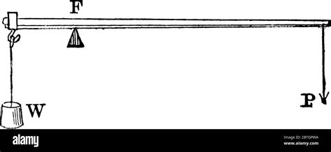 First Class Lever Triceps