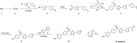 Spotlight On Synthesis Of Radiolabeled Compounds With Dmpk Considerations And Applications In