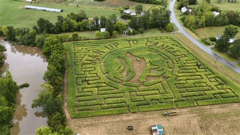 Carolina Moment Local Corn Maze Marks 20 Years With Focus On Charity