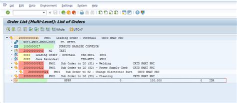 Order Hierarchy Sub Orders Sinau Sap Pm Module