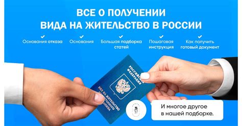 Все о получении вида на жительство в России — Teletype