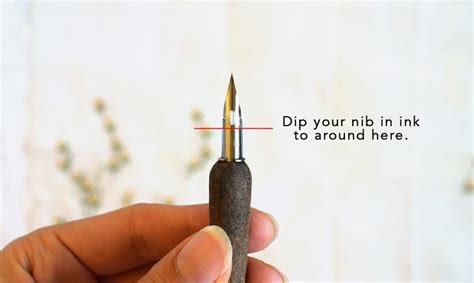 The Beginners Guide To Modern Calligraphy Calligraphy For Beginners Calligraphy Nibs Modern