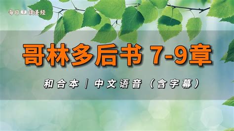 读圣经《哥林多后书》7 9章 读经合辑｜中文语音（和合本，含字幕，真人朗读）｜每日读圣经 Youtube