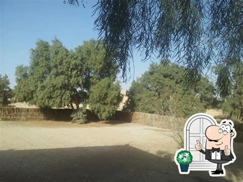 Café Ezzani Cafe Fatnassa Restaurantbewertungen