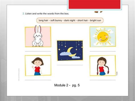 Presentation Week 12 Class 19 20 Pptx