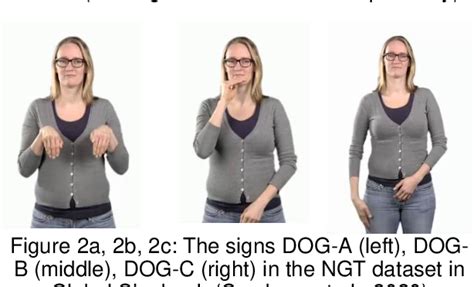Figure 2 From An Extension Of The NGT Dataset In Global Signbank Semantic Scholar