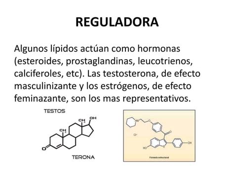 Funciones Biologicas De Los Lipidos Y Vitamina E PPT