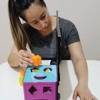 Tools Used In This Study To Perform The Cube Sorting Task And Gridlock