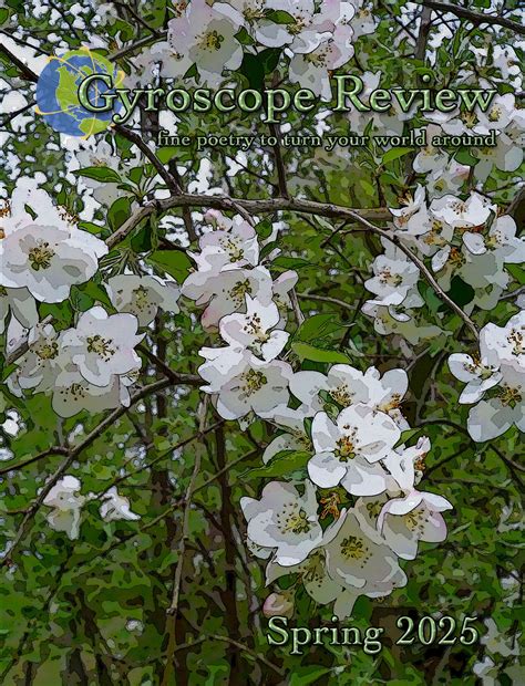 Spring 2025 Issue Gyroscope Review