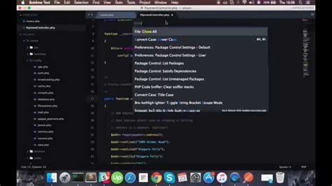 implement paypal payment with laravel youtube