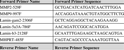 Assay By Design Primer Probe Sets Download Table