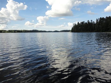 Dokumenty o finské přírodě na YLE Areena Finská studia
