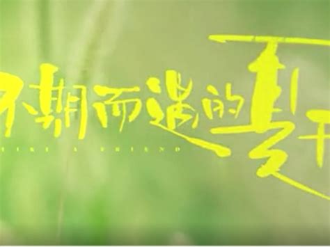 不期而遇的夏天电影宣传片 不困在回忆 站酷ZCOOL