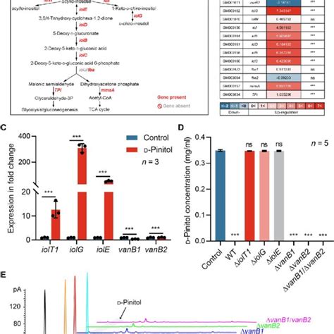 genomic transcriptomic and functional investigation of genes involved
