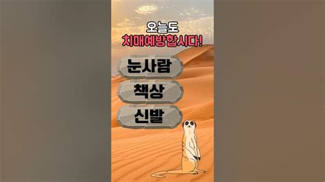 치매 예방 단어 기억하기 퀴즈 Youtube