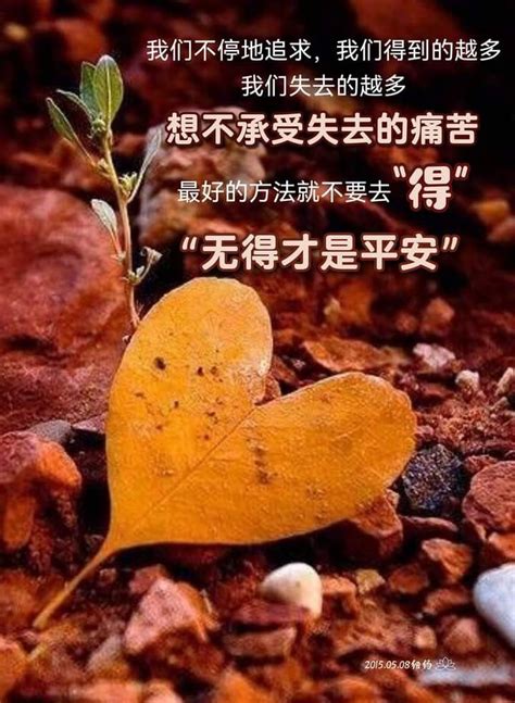 我们不停地追求 我们得到的越多 我们失去的越多 想不承受失去的痛苦 最好的方法就不要去得 所以无得才是平安啊 2015