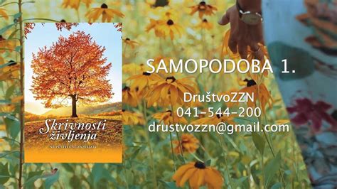 Kako Pridobiti Samozavest In Samospoštovanje Za Boljše življenje Samopodoba Samozavest Youtube