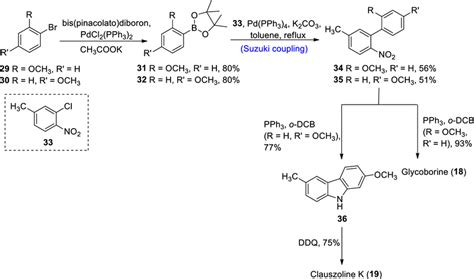 Synthesis Of Carbazole Alkaloids 18 And 19 Download Scientific Diagram