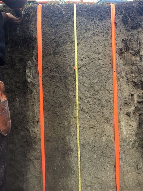 Soil Structure Introduction To Soil Science Second Edition