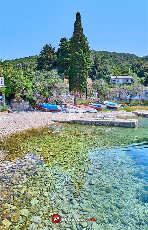 Rogačić Istok Rogačić Vis