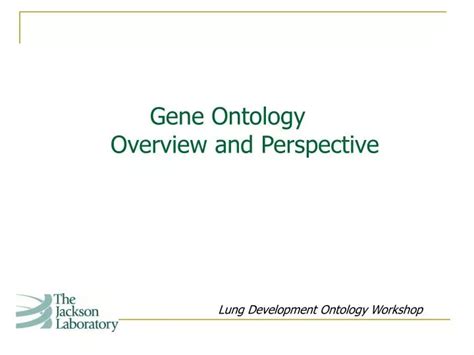 Ppt Gene Ontology Overview And Perspective Powerpoint Presentation