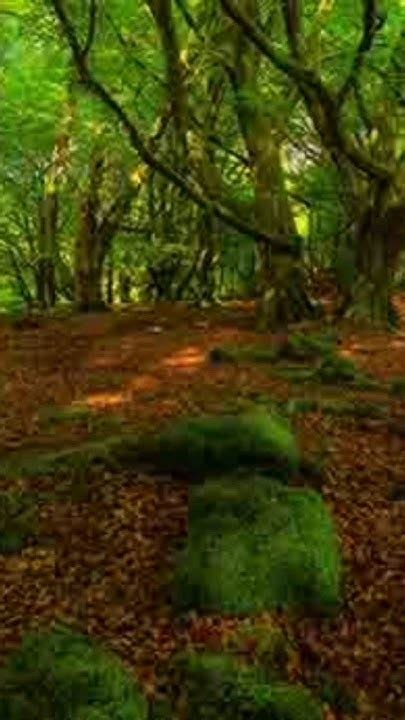 ریا مخرب اعمال ☝🏻 از دور باشید Youtube