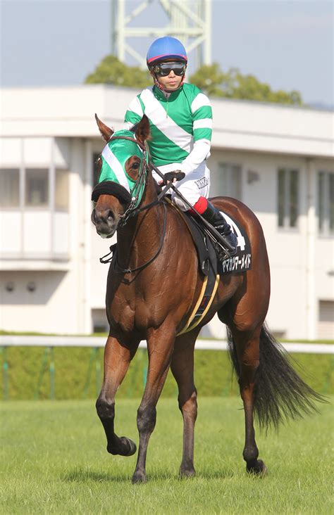 【薮中の日曜競馬コラム・フィリーズレビュー】 日刊ゲンダイ競馬