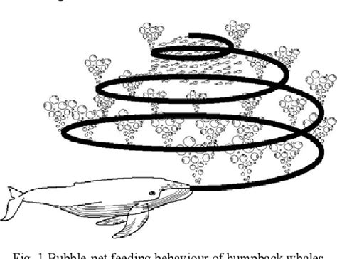 Figure 1 From The Whale Optimization Algorithm And Its Implementation In Matlab Semantic Scholar