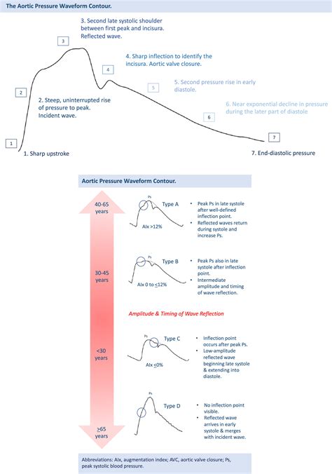 Interpretation Of The Central Aortic Pressure Waveform In Elderly