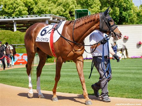 マンノジャパン Manno Japan 競走馬データ Netkeiba