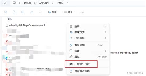 python安装本地whl文件 csdn博客
