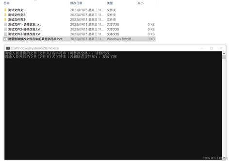 批量修改或删除文件（夹）名中的某些字符串怎样删除文件名中有特殊字符 Csdn博客