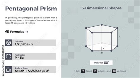 D Representation And Properties Of Pentagonal Prism Vector Design Stock Vector Adobe Stock