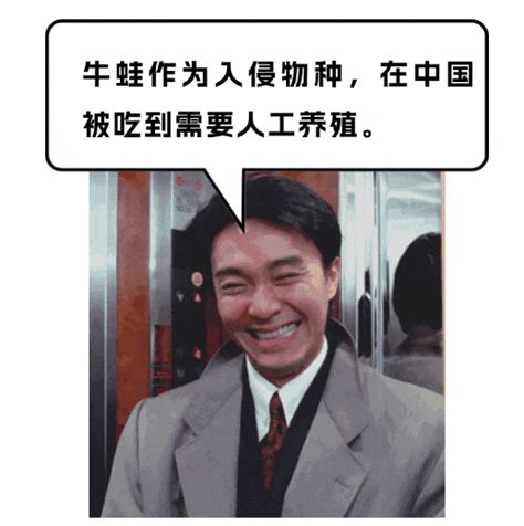 别再吃这些牛蛙了！比起寄生虫，更可怕的是这个问题！