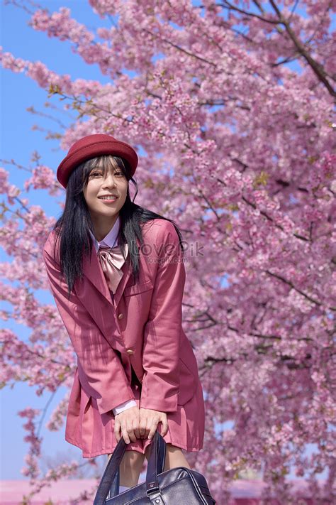 귀여운 아름다움 체리 꽃 사진 무료 다운로드 Lovepik