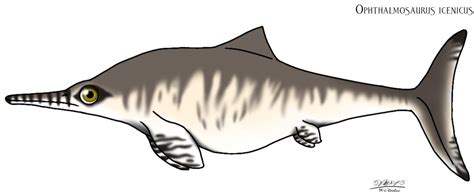 Ophthalmosaurus Icenicus By Ognimdo2002 On Deviantart