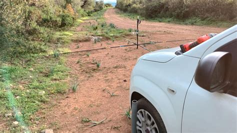 165at G446 Perdaxius Su