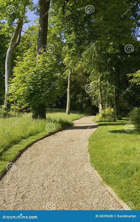 Footpath Stock Photo Image Of Track Countryside Trees 6029638