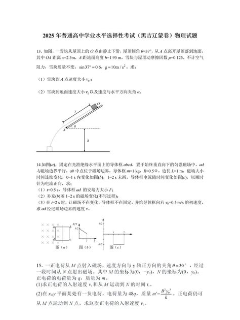 2025年新高考ii卷：物理试卷及答案解析 高考100