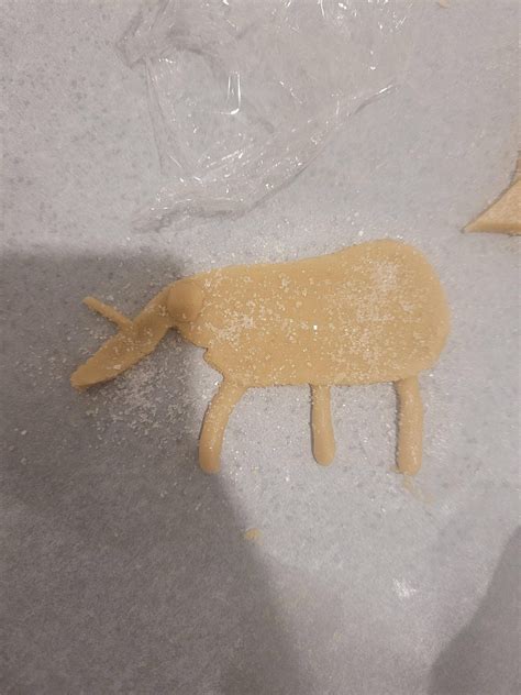 My Sugar Cookie Weevil Tribute R Weeviltime